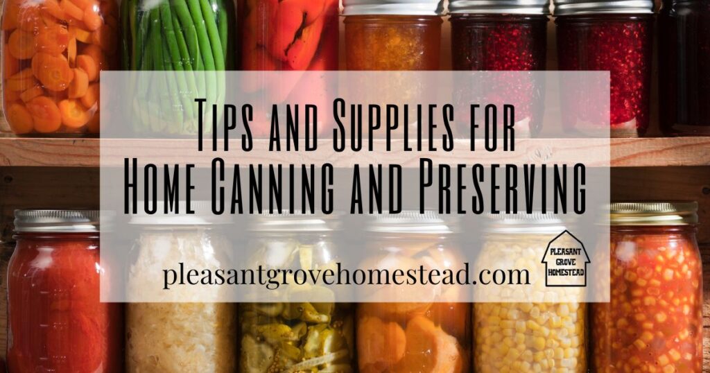 Alternative Equipment To Use For Water Bath Canning