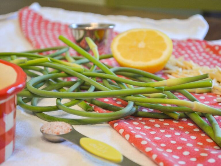 How to Store Garlic Scapes (Plus Recipes and Ideas to Use)