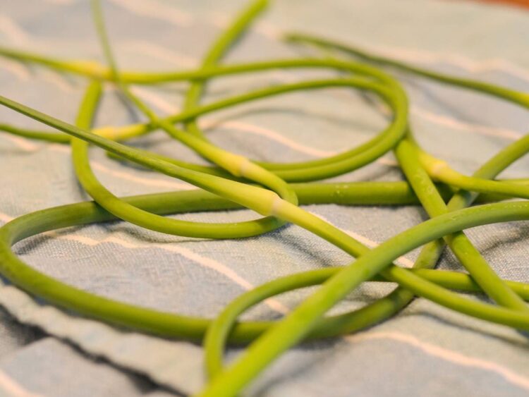 How to Store Garlic Scapes (Plus Recipes and Ideas to Use)