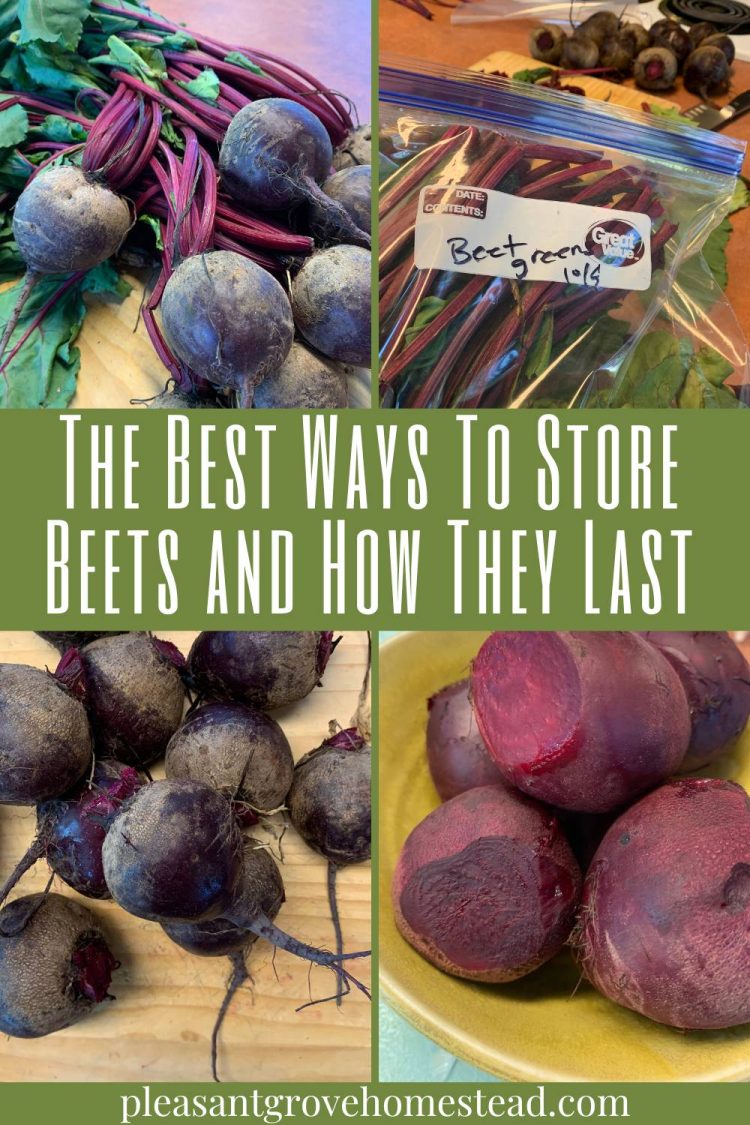 The Best Ways To Store Beets and How They Last