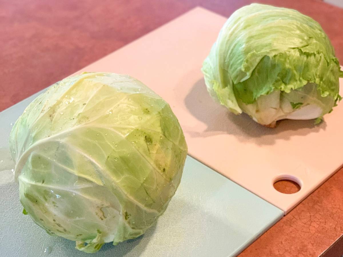 Lettuce vs Cabbage: Differences and How to Cook With Them