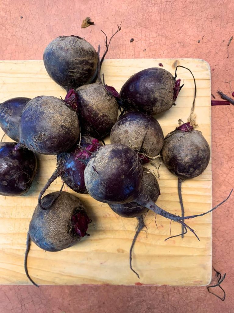 The Best Ways To Store Beets and How They Last