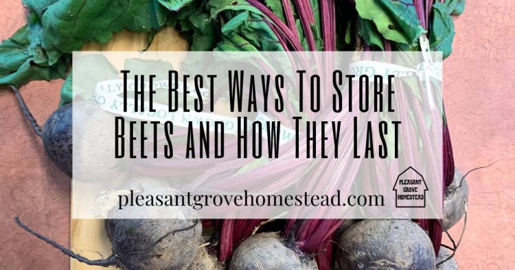 The Best Ways To Store Beets and How They Last