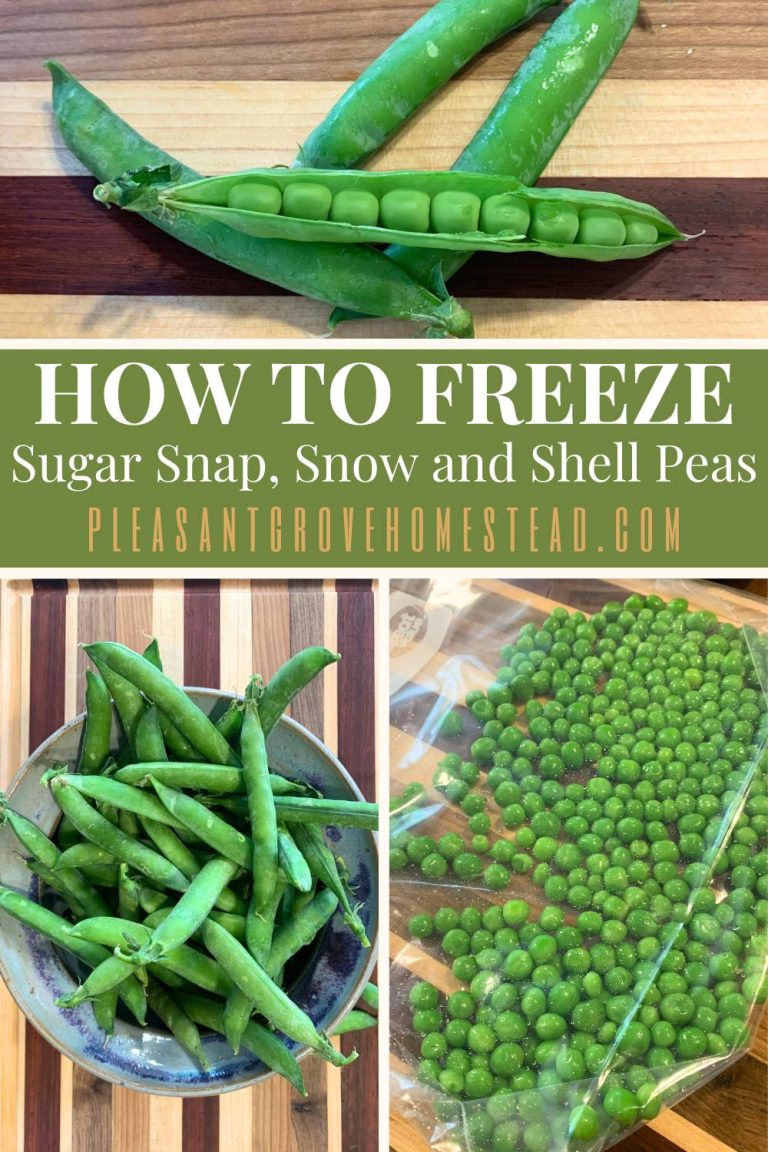 How to freeze Sugar Snap, Snow and Shell Peas