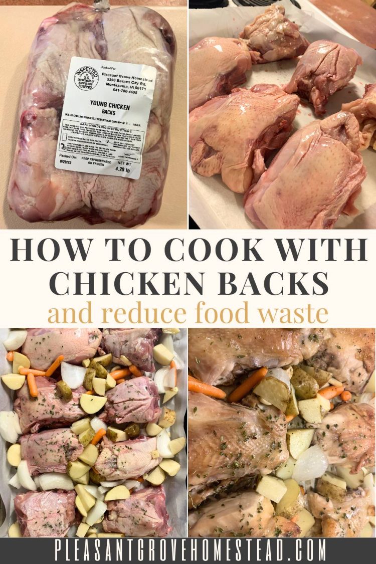 How To Use Chicken Backs – Easy Way To Reduce Food Waste