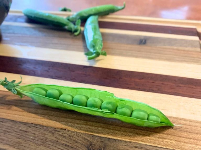 How to freeze Sugar Snap, Snow and Shell Peas