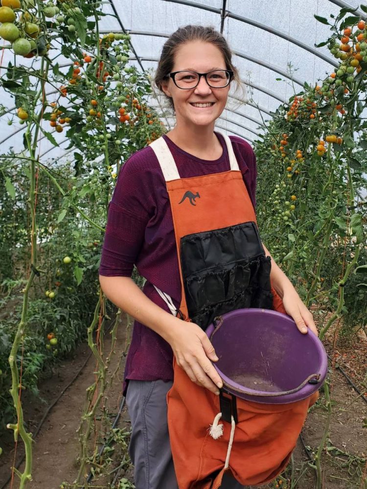 How To Grow Crops Year Round In a Greenhouse or High Tunnel