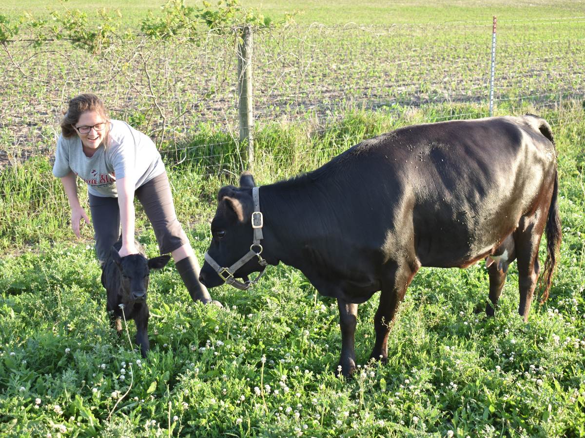 How much milk do dairy cows produce? A production guide