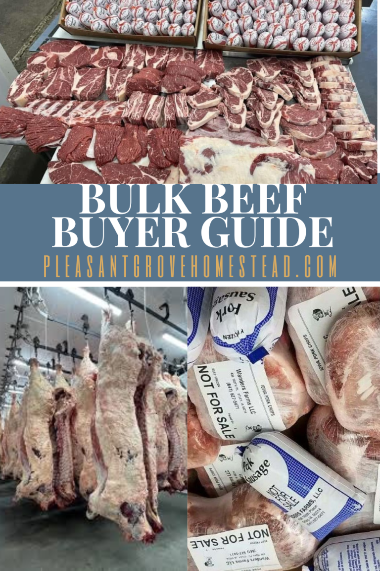 Hanging vs. Packaged Weight: What to expect buying beef meat