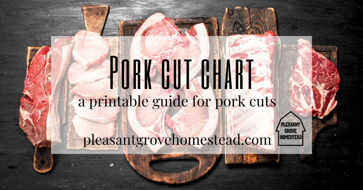 Pork Cut Chart: A printable guide for pig cuts